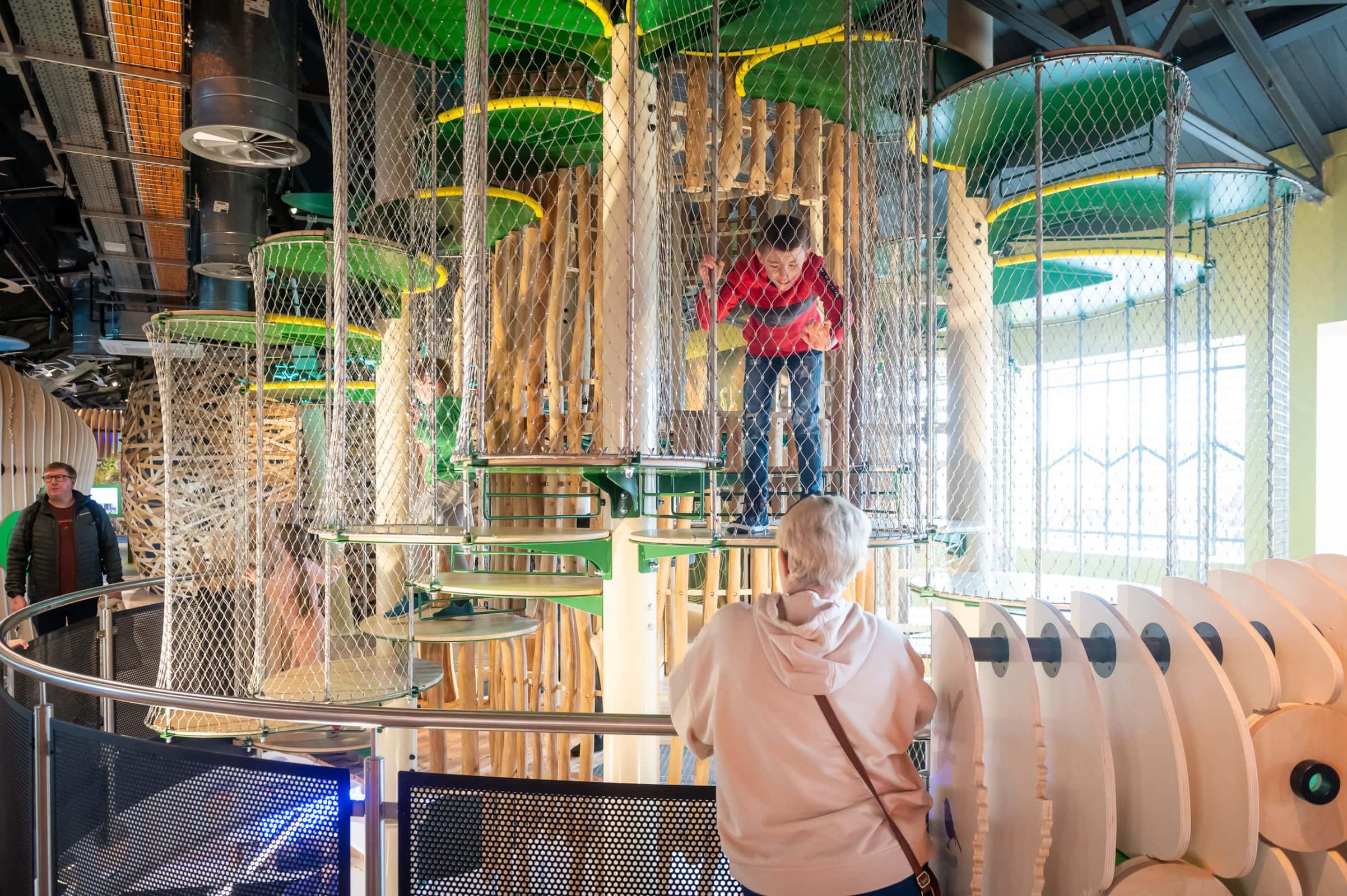 Eureka! Science + Discovery - K2 Architects